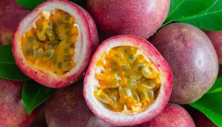 दुर्लभ है ये एक फल, कई बीमारियों का है काल, जानें फायदे | Krishna fruit ...