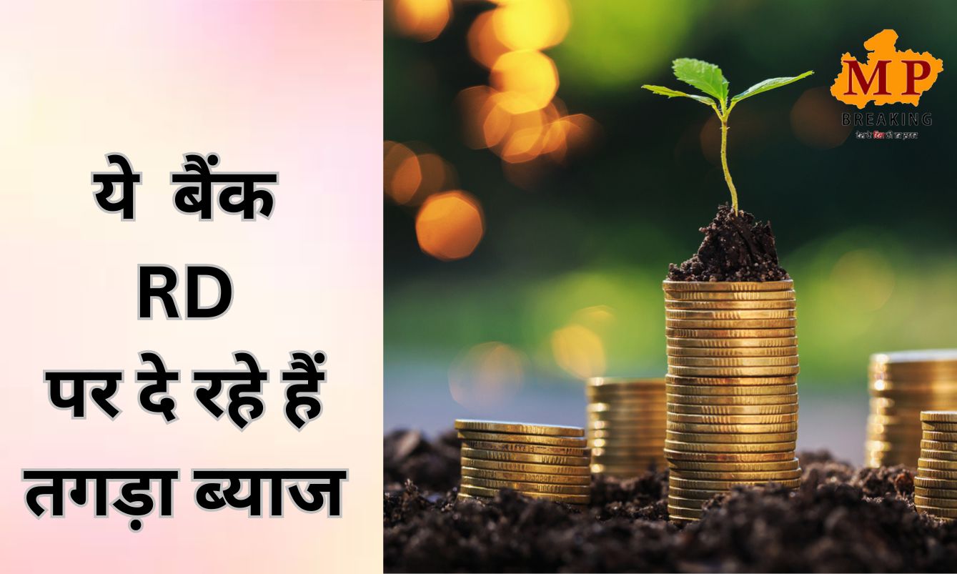 Bank RD: ये 4 बैंक रेकरिंग डिपॉजिट पर दे रहें 7% से ज्यादा ब्याज ...