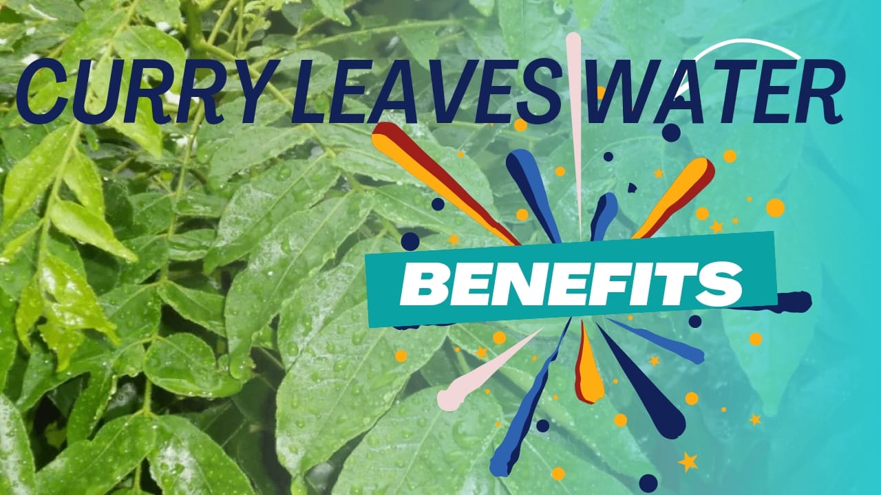 शरीर के लिए बेहद फायदेमंद हैं करी पत्ते का पानी, रोज सुबह ऐसे करें सेवन ...