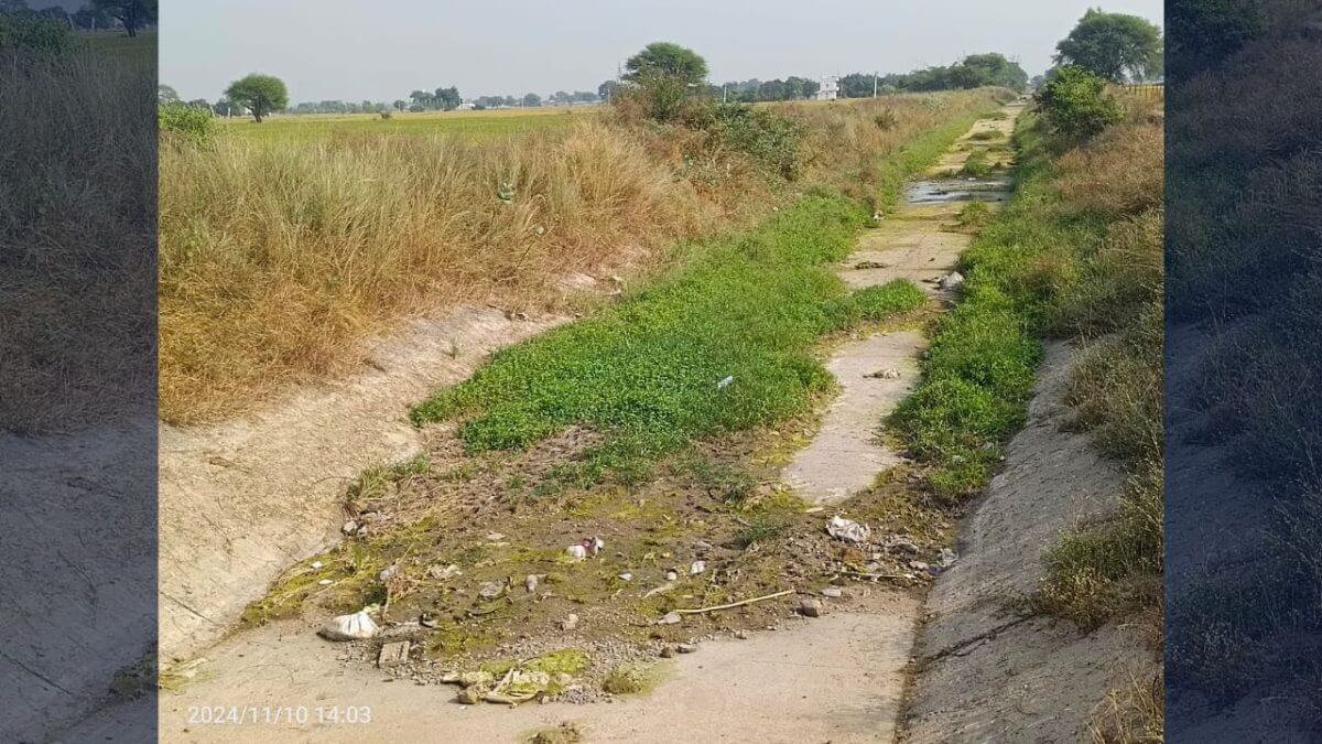 Latest MP News in Hindi, Madhya Pradesh Samachar by MP Breaking News