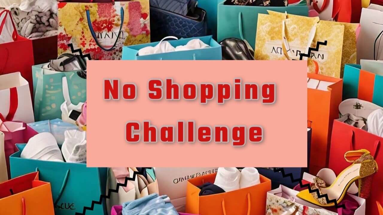 No Shopping Challenge : क्या आप नए साल में लेंगे नो शॉपिंग चैलेंज ...